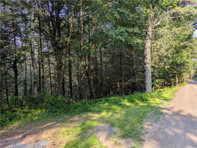 Lot 29 Peters Lane