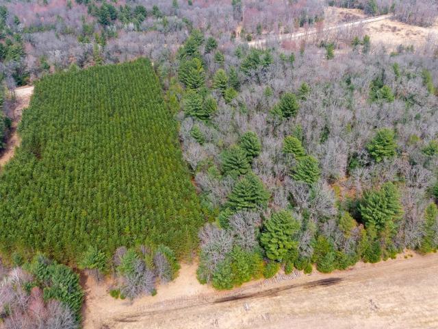 Lot 2 +/ 43 Ac Dover Drive