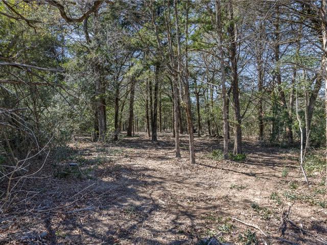 Lot 2 4.81 Acres Pauline Lane