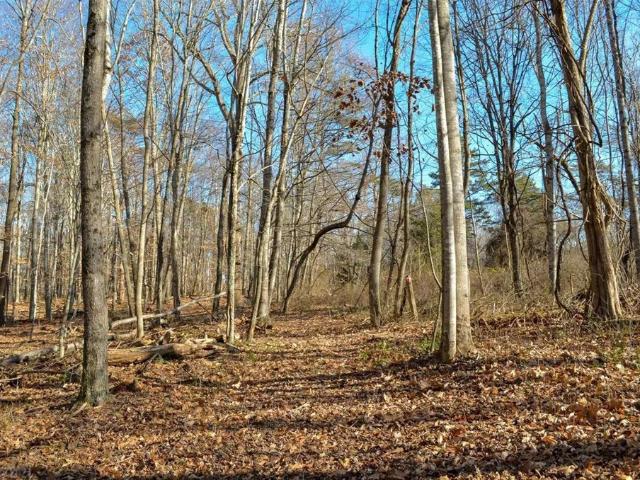 Lot 2&3 Brooksfield Rd