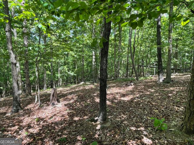 Lot 2& 3 chalcrest way