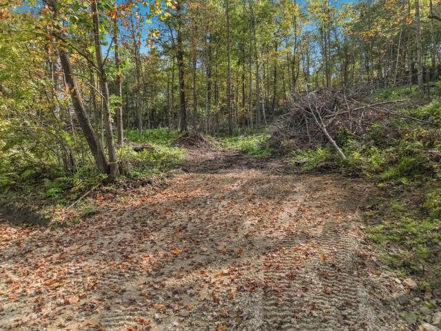Lot 2 TBD 1240th Avenue