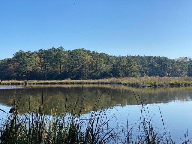 Terrapin Station Rd Lot 2, Belle Haven, VA 23306