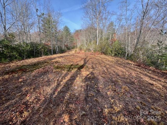 Lot 2 Tobacco Branch Rd, Almond, NC 28702 | MLS #4196