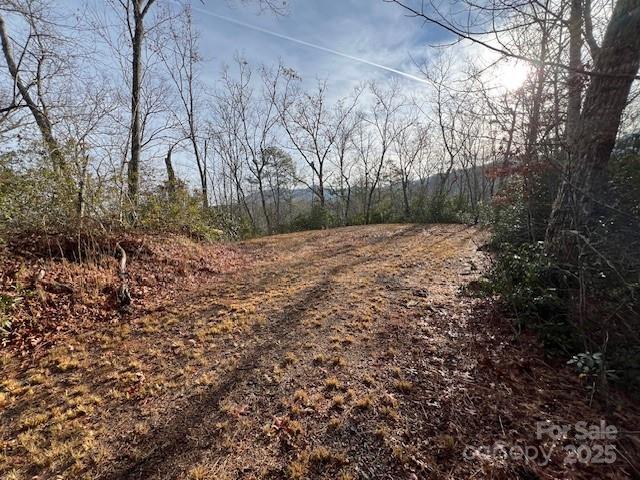 LOT 2 Tobacco Branch Road