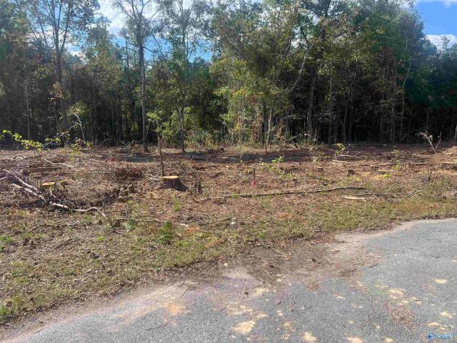 Lot 2, Tract 3 Summer Breeze Drive
