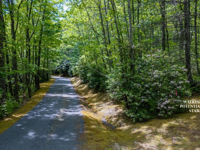 Lot 2 Treasurewood Road