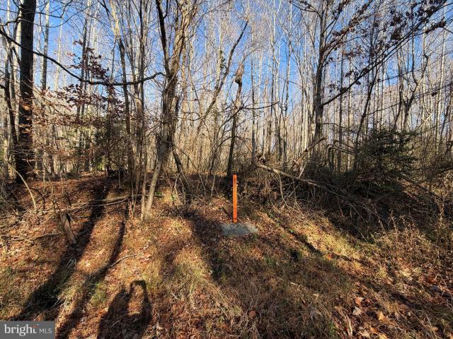 Lot 2 Turkey Acres Rd, King George, VA 22485 | MLS #VAKG2007