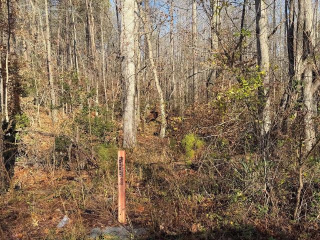 Lot 2 Turkey Acres Rd, King George, VA 22485 | MLS #VAKG2007