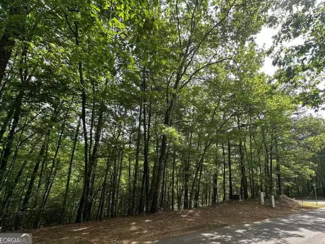 Lot 2 Villa Weg, Helen, GA 30545 MLS 10359321