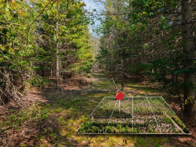 Lot 2 W Pendills Lake Road
