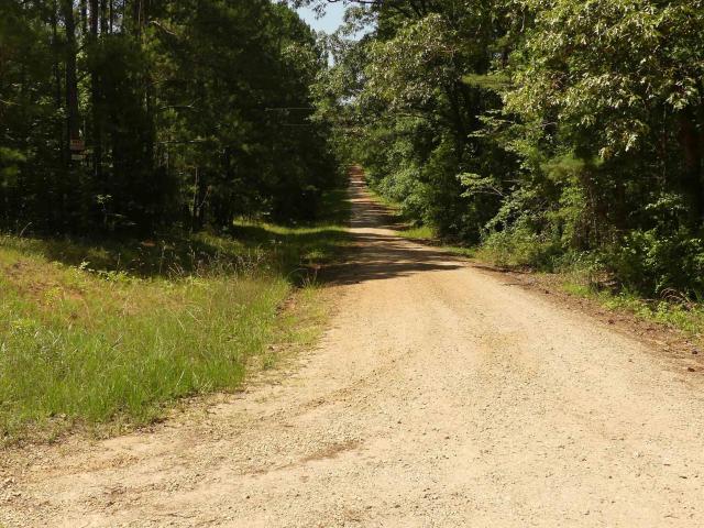 Lot 2 Warren Road # 2