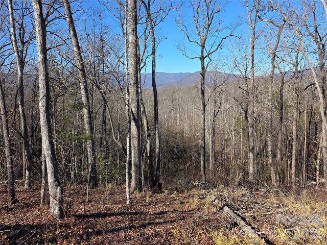 Lot 2 Warren Ridge Road