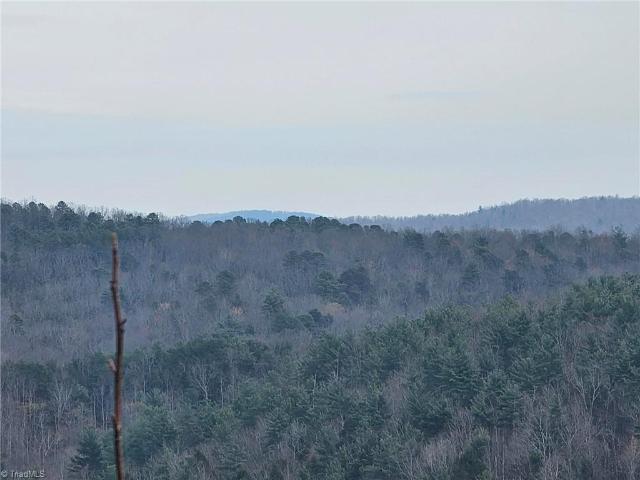 Lot 2 Widow Mountain Drive