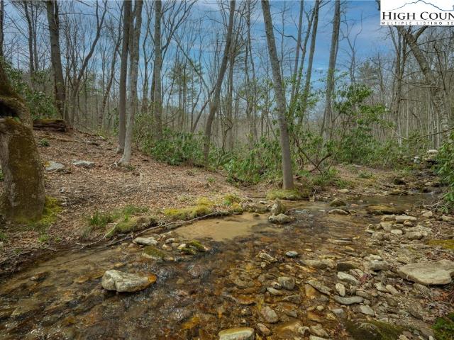 Lot 2 Wildcat Wilderness Parkway