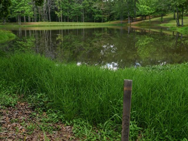 Lot 2 woodlawn rd