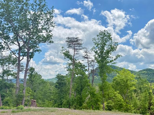Lot 2 Woodland Estates