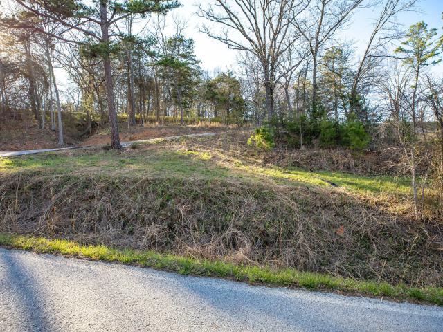 Lot 2 A Grizzly Ridge