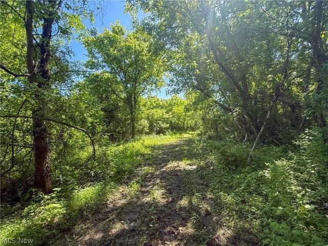 Lot 2 Altamont Rd