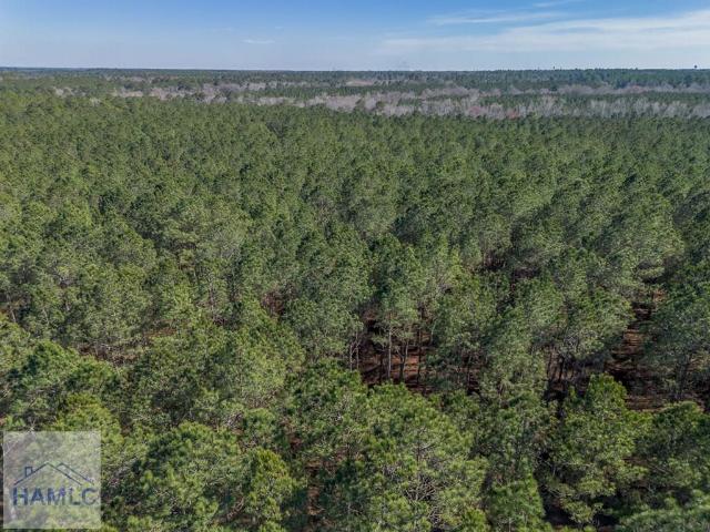 Lot 2 Ben Giddens Road