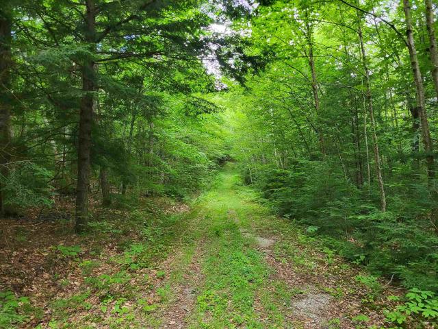 Lot 2 Bear Mountain Road