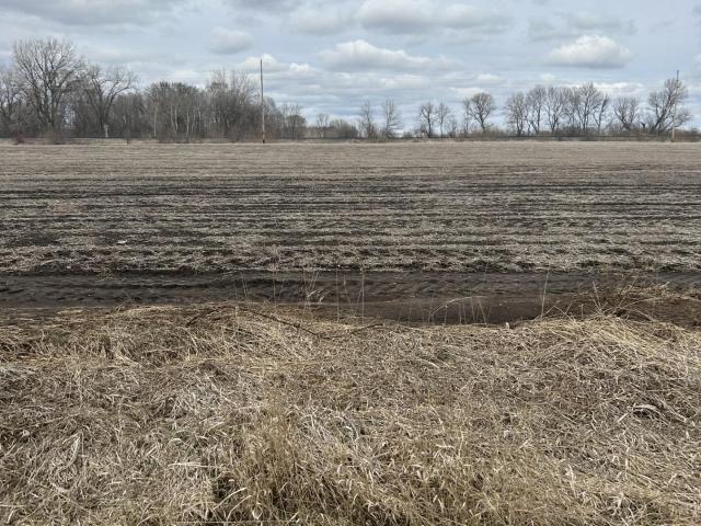 Lot 2 block Cannon River Blvd, Cannon Falls, MN 55009 | MLS #6695