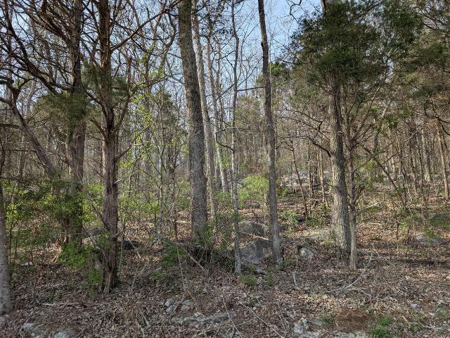 Lot 2 Brookwood Drive