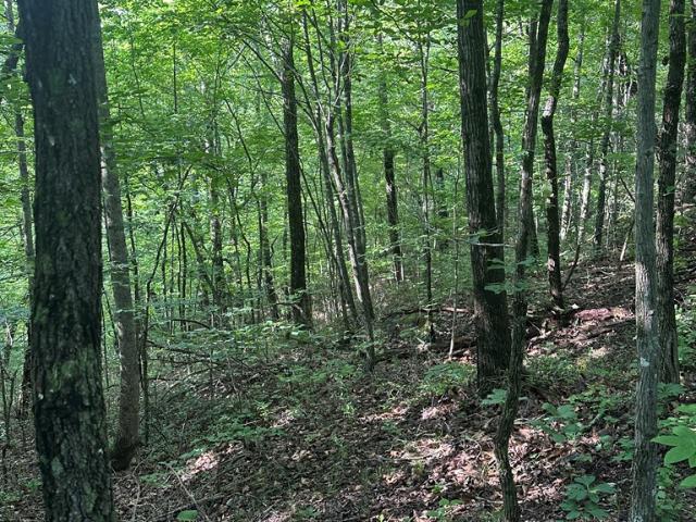 Lot 2 Buckeye Lane