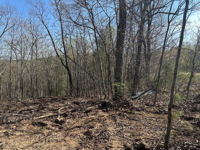 Lot 2 Buckeye Lane
