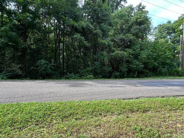 Lot 2 Cameron Road