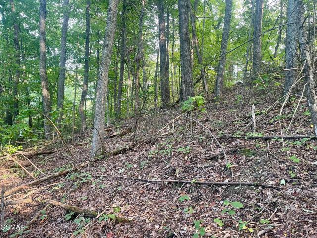 Lot 2 Carter Plaza