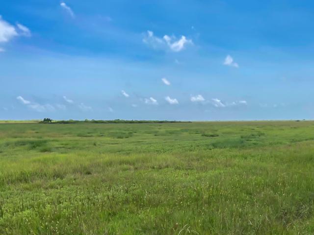 LOT 2 Chambliss Rd
