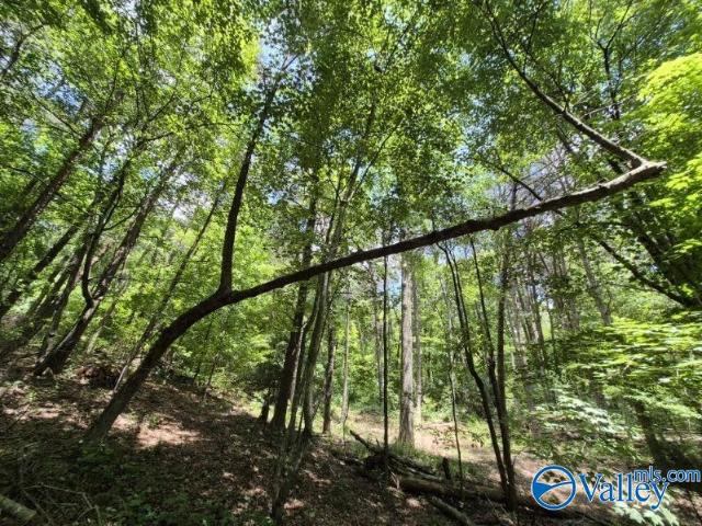Lot 2 Cherokee County Road 275