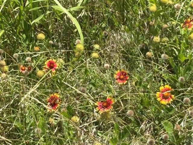 Lot 2 Chisholm Trail, Valley Mills, TX 76689 | MLS #20977 | Compass
