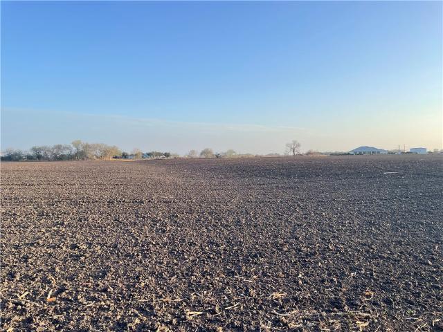 Lot 2 County Road 732