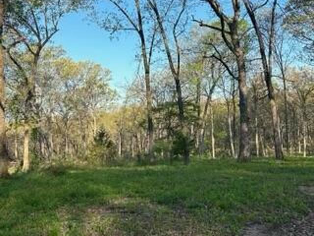 Lot 2 county road 388