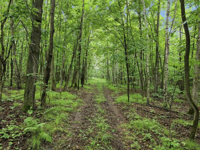 Lot 2 CSM 7522 4th Street