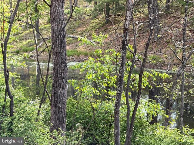 Lot 2 Crested Mountain Lane