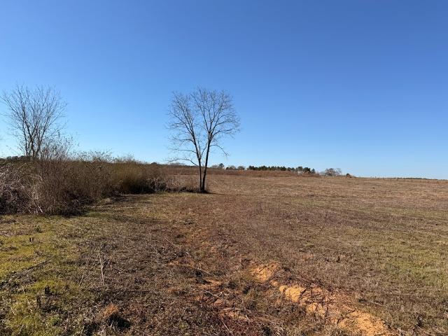 Lot 2 Culver Road