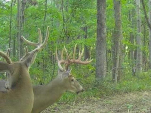 Lot #2 Deer Creek Road