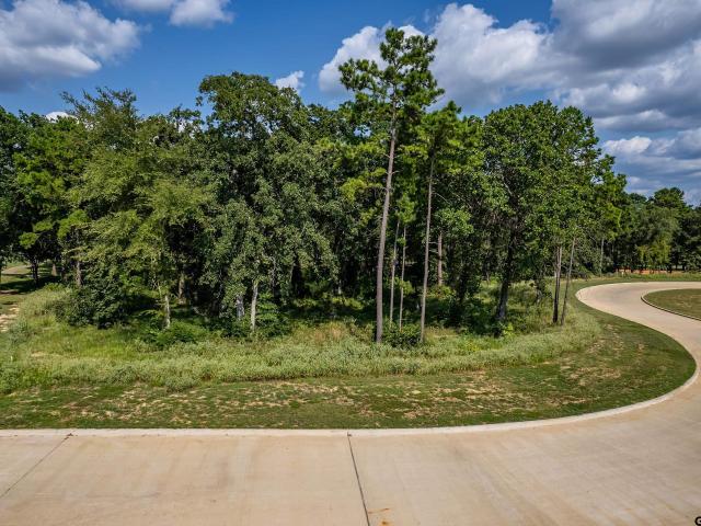 Lot 2 Deer Lk Ln, Bullard, TX 75757 | MLS #26001