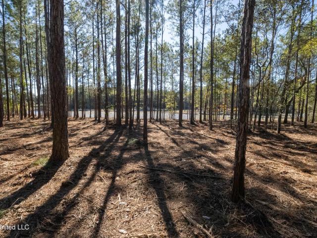 Lot 2 Disalvo Lane