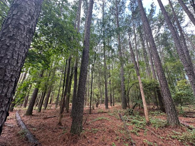 Lot 2 Dogwood Lane # 2