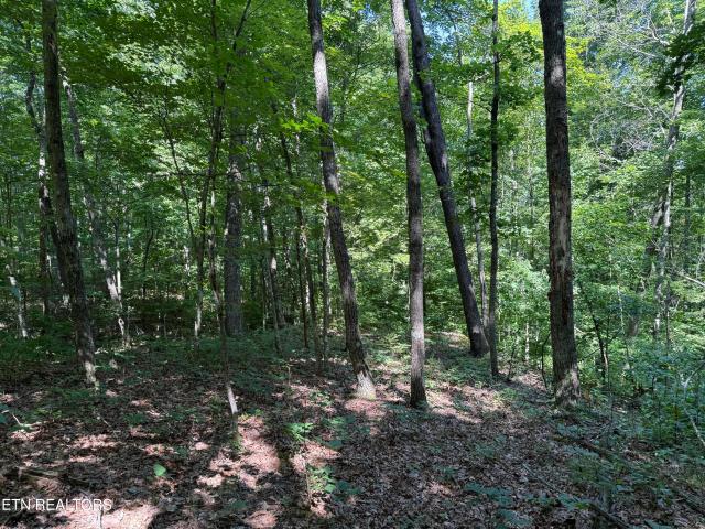 Lot 2 E Cove Rd, Monterey, TN 38574 | MLS #1308