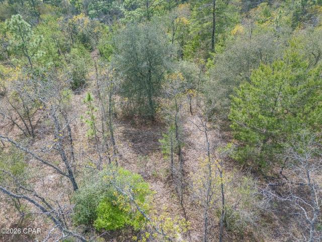 Lot 2 Esmont Ave, Chipley, FL 32428 | MLS #787582