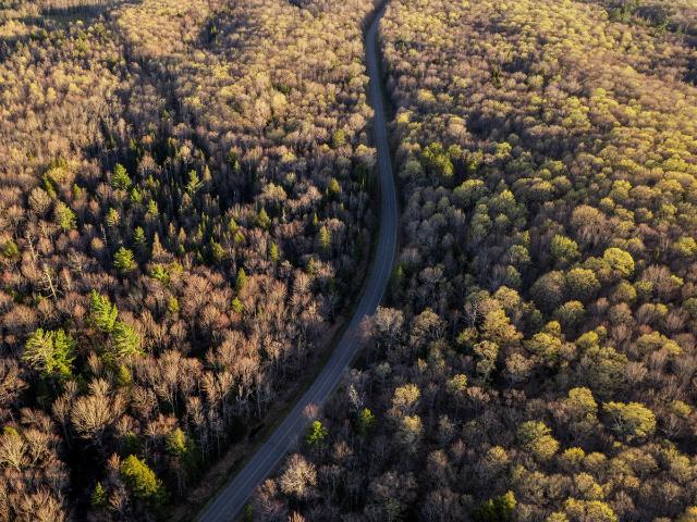 Lot 2 Federal Forest Highway 16
