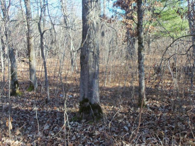 Lot 2 Ferry Rd