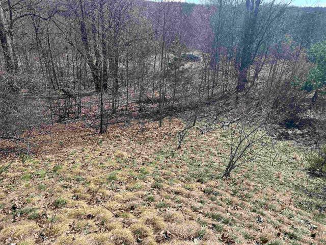 Lot 2 Fox Trail