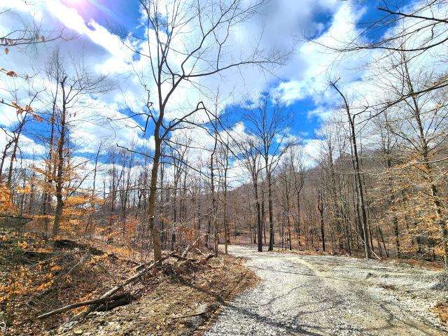 Lot 2 Goat Hollow Estates Rd, Martinsville, IN 46151 | MLS #22025