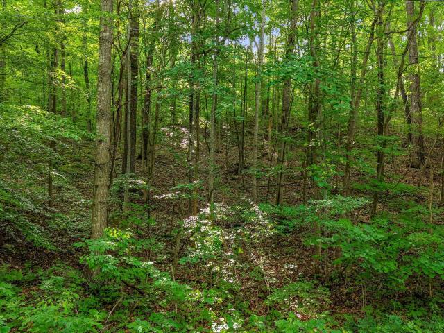 Lot 2 Graves Hollow Rd